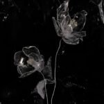155+ aesthetic black PFP ideas for a minimal & cool look