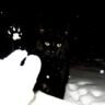 170+ Aesthetic black Cat PFP ideas for a stylish profile
