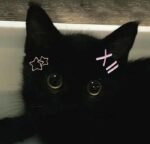 120+ Trending Cute PFP Black Images For A Classy Dark Look