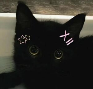 120+ Trending Cute PFP Black Images For A Classy Dark Look
