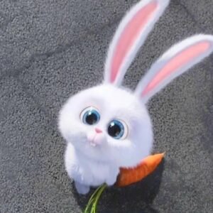 175+ Cute PFP Bunny DP Lovely, Warm & Friendly Photo Ideas