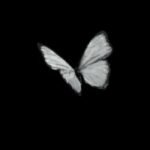 120+ Trending Cute PFP Black Images For A Classy Dark Look
