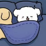 160+ Cute PFP Matching Pics To Create The Perfect Profile Pair