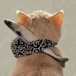 168+ Adorable Kawaii Cute PFP Collection For Sweet Aesthetics