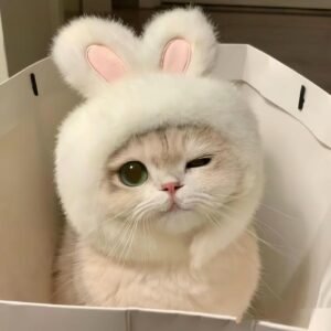 120+ Trending Cute PFP Ideas For Instagram, WhatsApp & More