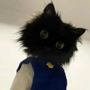 113+ funny anime PFP ideas to make your profile stand out