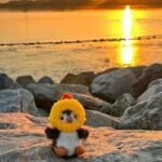 158+ Simple Cute PFPs Ideas To Make Your Profile More Charming