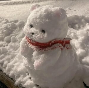 166+ cute winter PFP sweet snowy aesthetic profile pictures