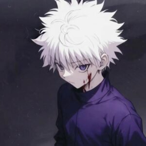 103+ cool anime PFP Hunter x Hunter aesthetic DP ideas