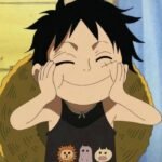 175+ unique anime PFP One Piece for creative profile styles