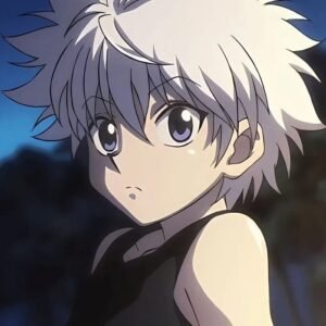 103+ cool anime PFP Hunter x Hunter aesthetic DP ideas