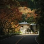 122+ Japanese Aesthetic PFP ideas calm, minimal & artistic