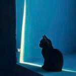 133+ Blue PFP Aesthetic ideas for calm & modern profiles