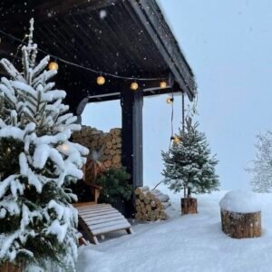 108+ winter aesthetic PFP snowy mood & soft profile images