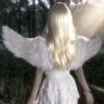 199+ Angel Aesthetic PFP dreamy wings soft aesthetic DP