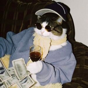142+ Aesthetic Money PFP ideas for luxury profile vibes