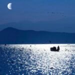 116+ Ocean Aesthetic PFP beach tones & tranquil water moods