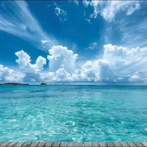 116+ Ocean Aesthetic PFP beach tones & tranquil water moods
