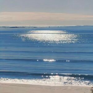 116+ Ocean Aesthetic PFP beach tones & tranquil water moods