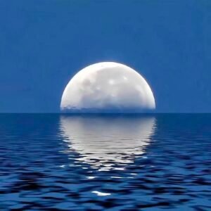 116+ Ocean Aesthetic PFP beach tones & tranquil water moods