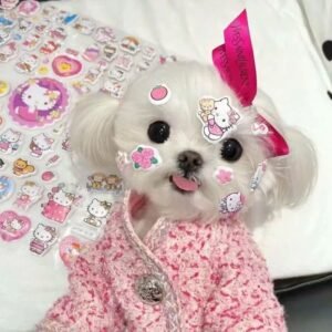 80+ Super cute dog PFP ideas that melt hearts fast